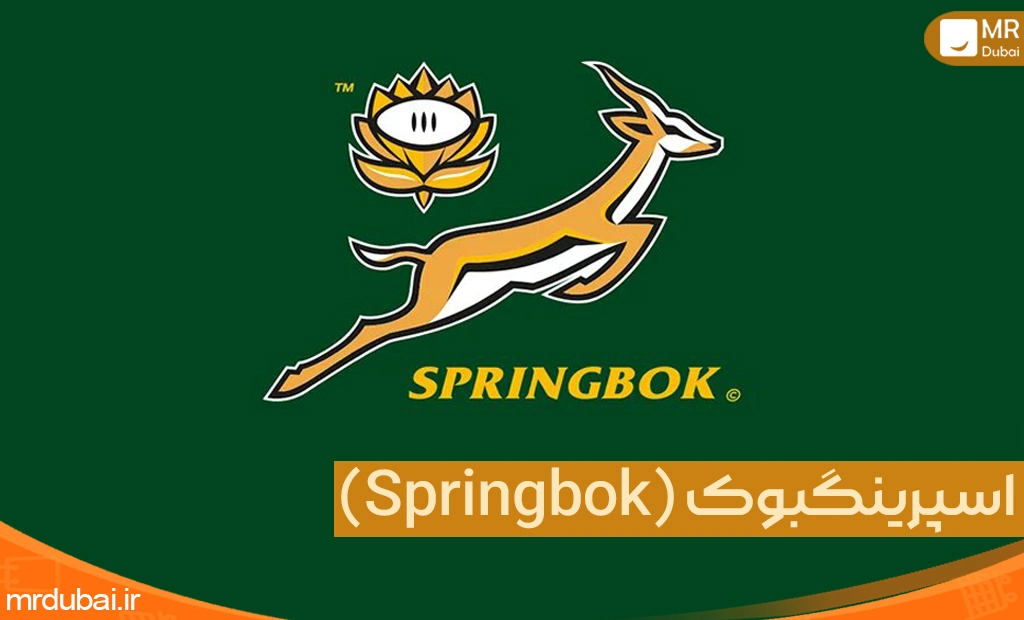 معرفی بهترین فروشگاه‌های آنلاین مواد غذایی در دبی